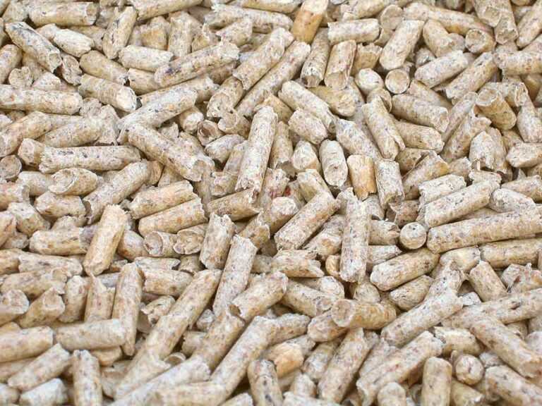 Prix des pellets de bois : tout ce qu’il faut savoir